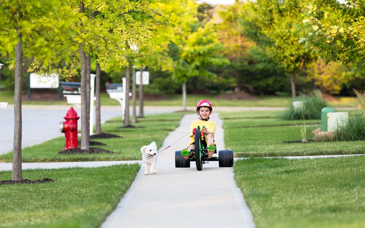 41 Fun Summer Bucket List of Adventures to Last Hours