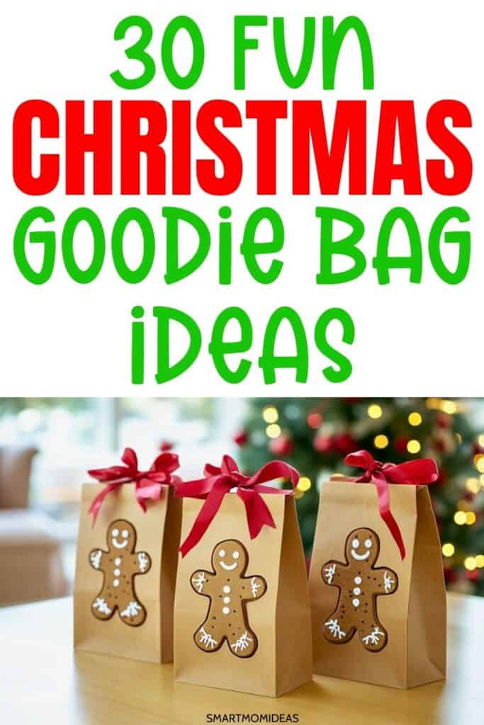 30+ Things for Your Christmas Goodie Bags (Christmas Favors for the Family)
